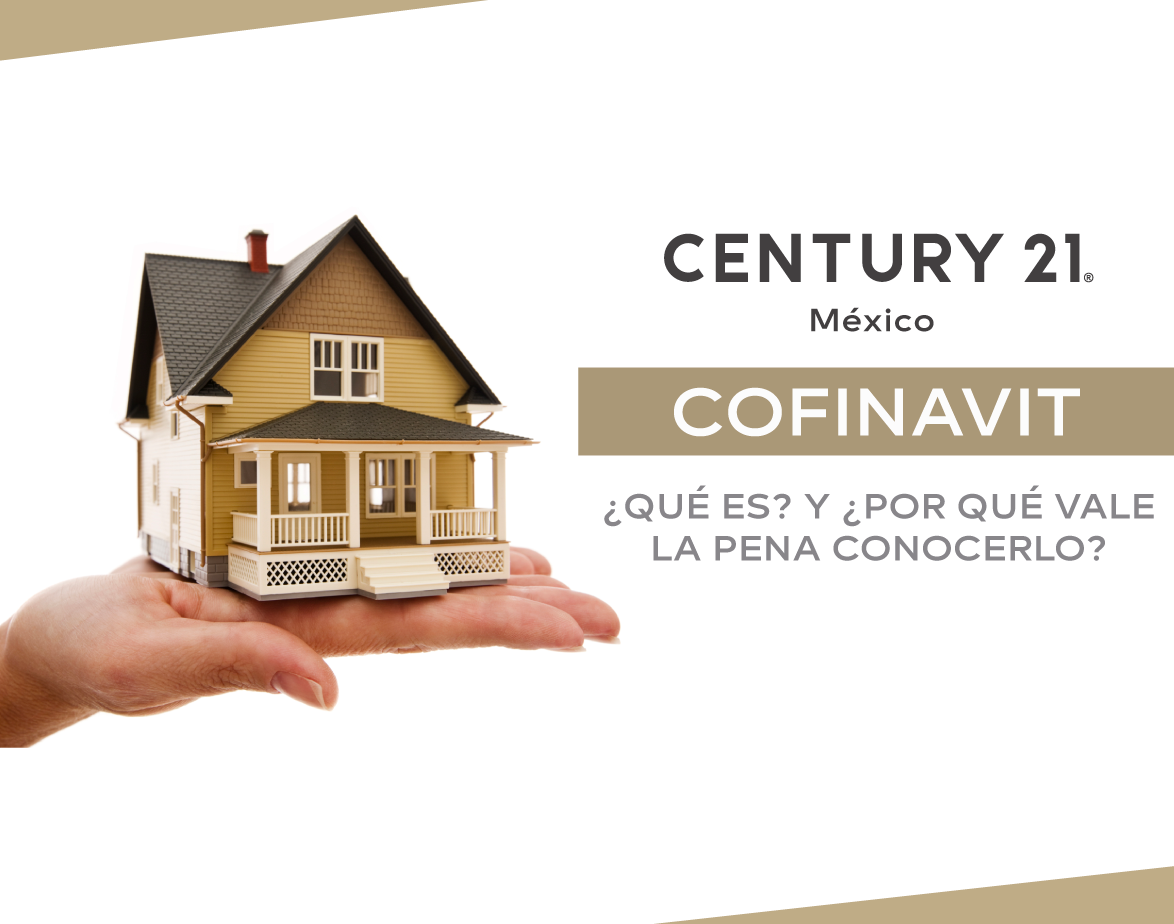Cofinavite ¿Qué Es? ¿Por Qué Vale La Pena Saberlo? - noticias.casa